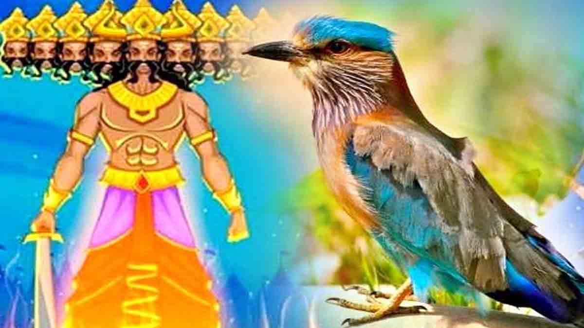 Neelkanth Bird: दशहरे के दिन अगर इस पक्षी का हो जाए दर्शन, तो खुल जाएगी ...